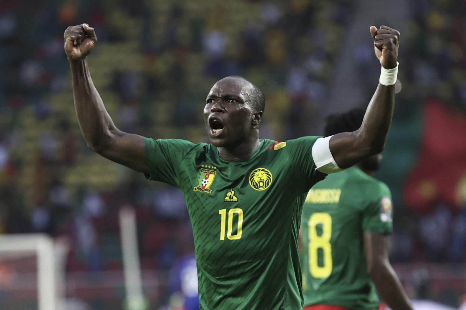 Nous sommes les lions indomptables